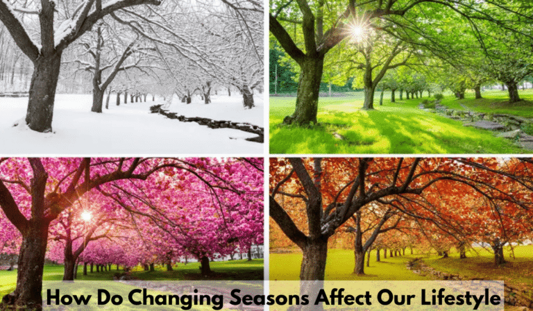 How Do Changing Seasons Affect Our Lifestyle?